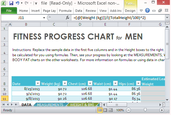 Fitness Progress Chart Template for Excel