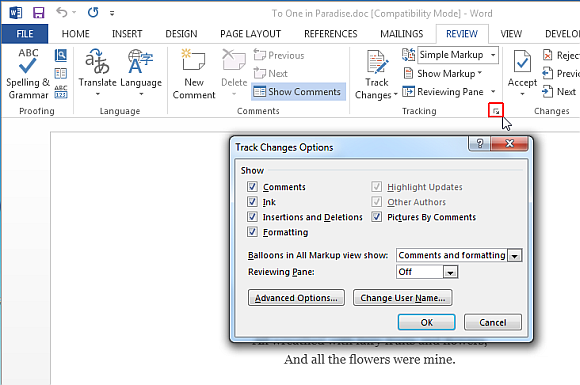 How To Customize Track Changes Feature in Word 2013