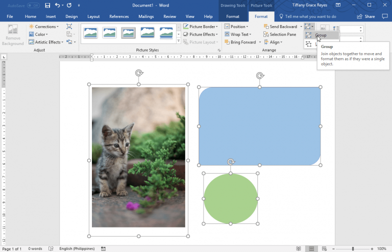 How to Group Pictures in Word (Step by Step)