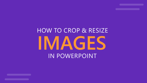 How to Crop Images in PowerPoint (Step by Step)