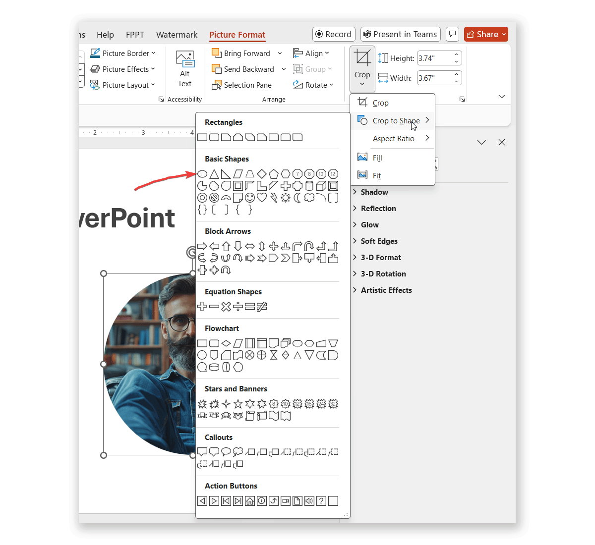 How to Make a Square Picture Round in PowerPoint (Quick Steps)