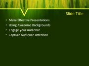 160016-barley-template-4x3-2 - Free PowerPoint Templates
