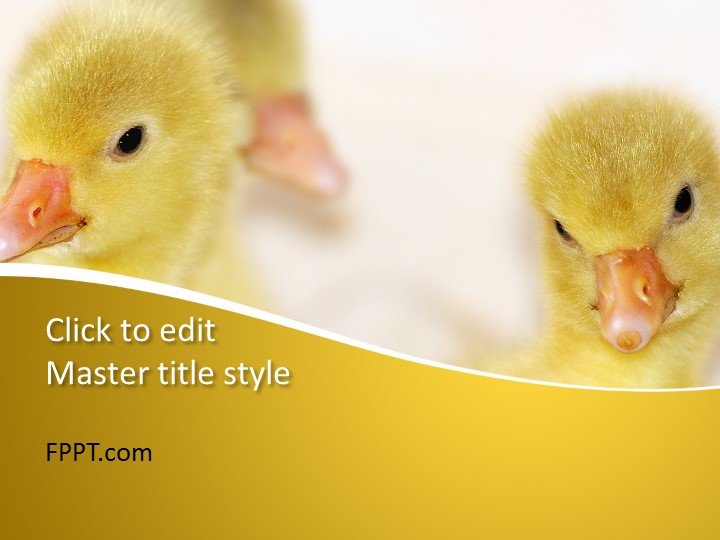 Free Duck PowerPoint Templates