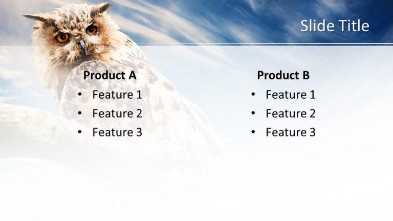 160043-owl-template-16x9-4 - Free PowerPoint Templates