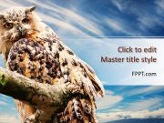 Free Owl PowerPoint Template - Free PowerPoint Templates