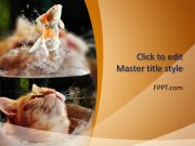 Free Cat PowerPoint Templates