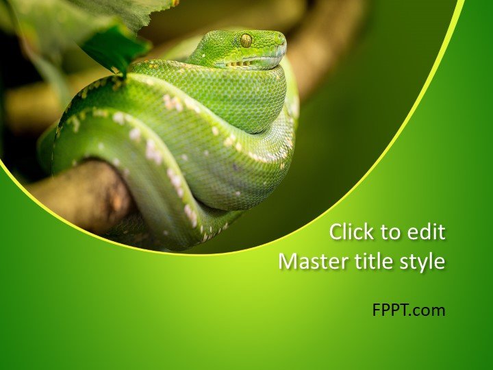Free Snake PowerPoint Templates