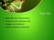160111-snake-template-4x3-2 - Free PowerPoint Templates