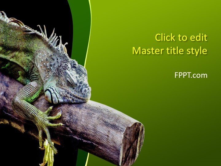 Free Iguana PowerPoint Templates