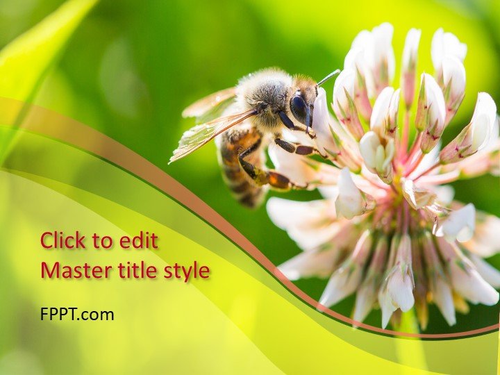 Free Bee PowerPoint Template - Free PowerPoint Templates