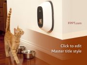 Free Cat PowerPoint Templates