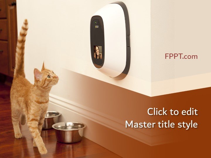 Free Cat PowerPoint Templates