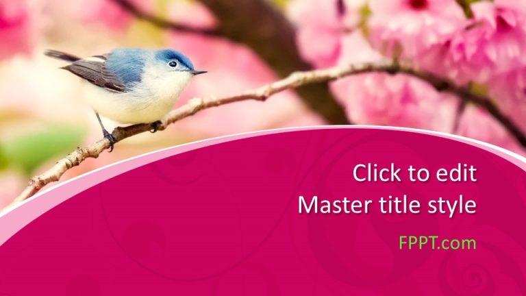 160317-bird-template-16x9-1 - Free PowerPoint Templates