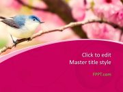 Free Bird PowerPoint Template - Free PowerPoint Templates