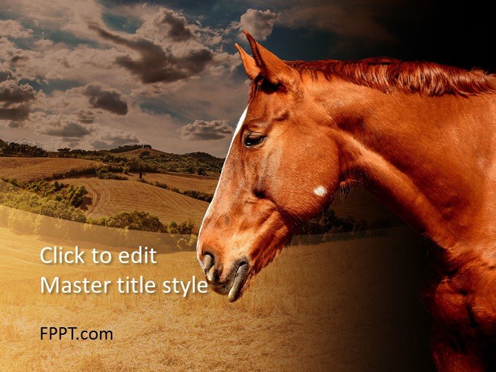 Free Animal Equine PowerPoint Template - Free PowerPoint Templates