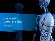 Free Anatomical PowerPoint Template - Free PowerPoint Templates