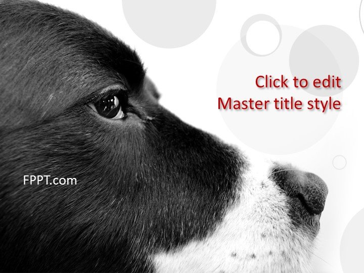 Free Dog PowerPoint Template - Free PowerPoint Templates