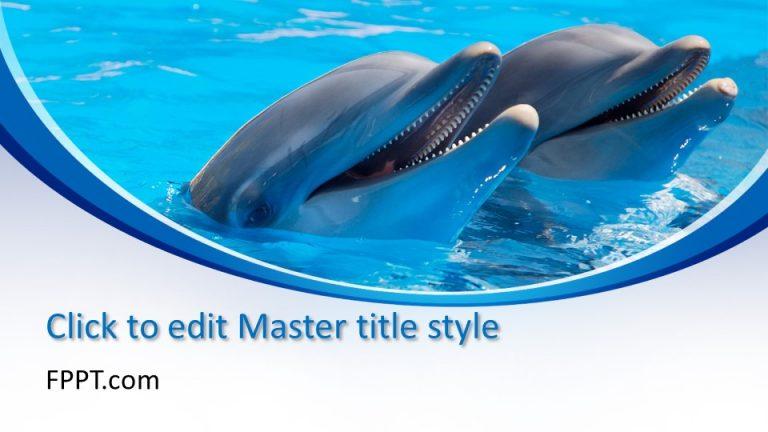 160390-dolphin-template-16x9-1 - Free PowerPoint Templates