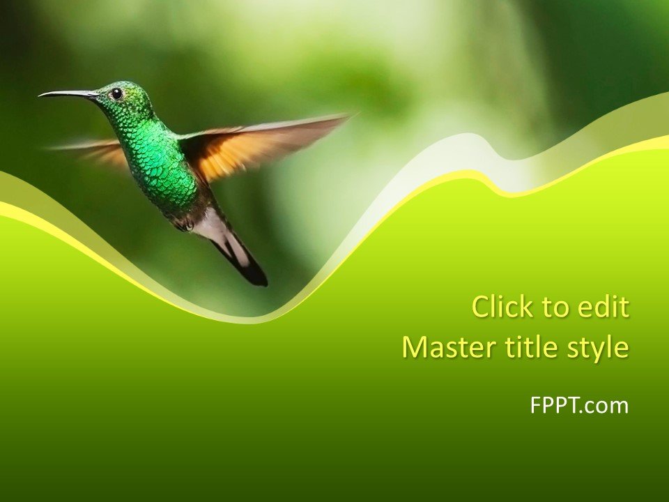 Free Bird PowerPoint Templates