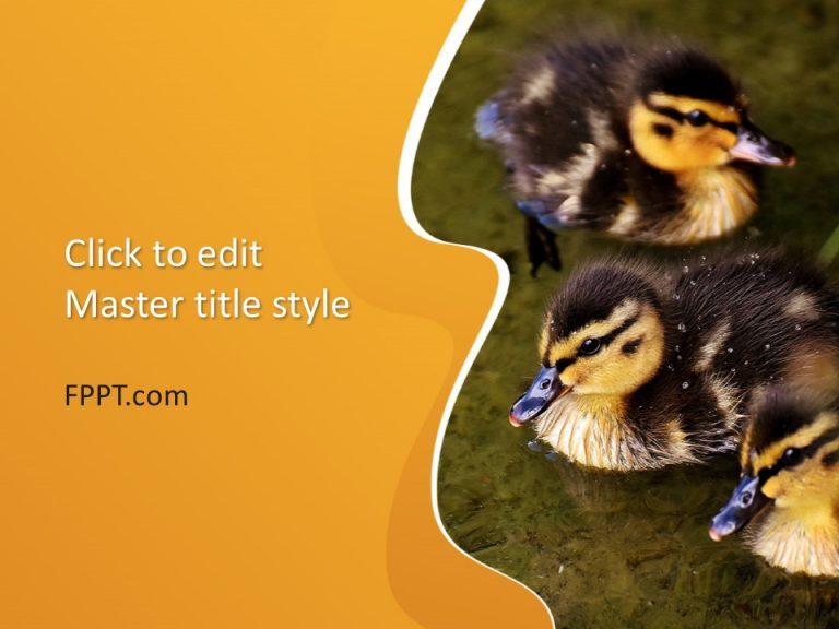 Free Duckling PowerPoint Template - Free PowerPoint Templates