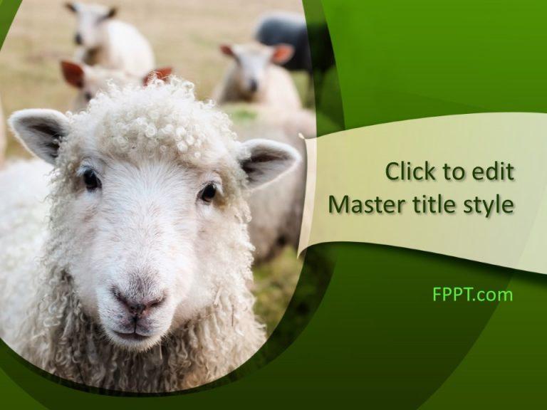 Free Sheep PowerPoint Templates