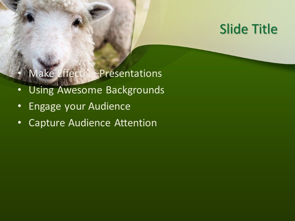 160494-lamb-template-4x3-2 - Free PowerPoint Templates