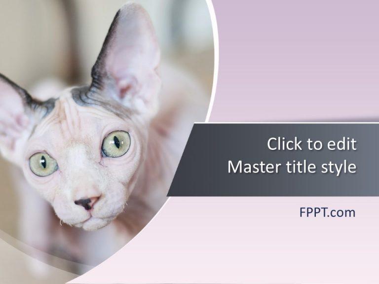 Free Cat PowerPoint Templates