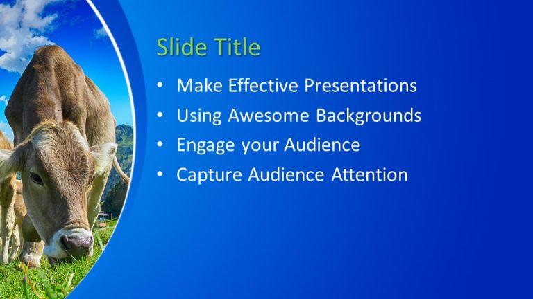 160595-cows-template-16x9-3 - Free PowerPoint Templates