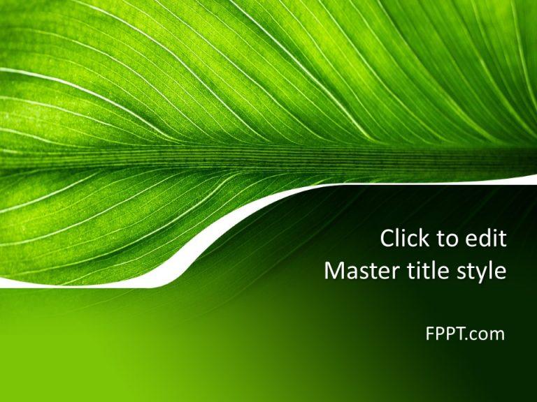 Free Green Leaf PPT Template - Free PowerPoint Templates