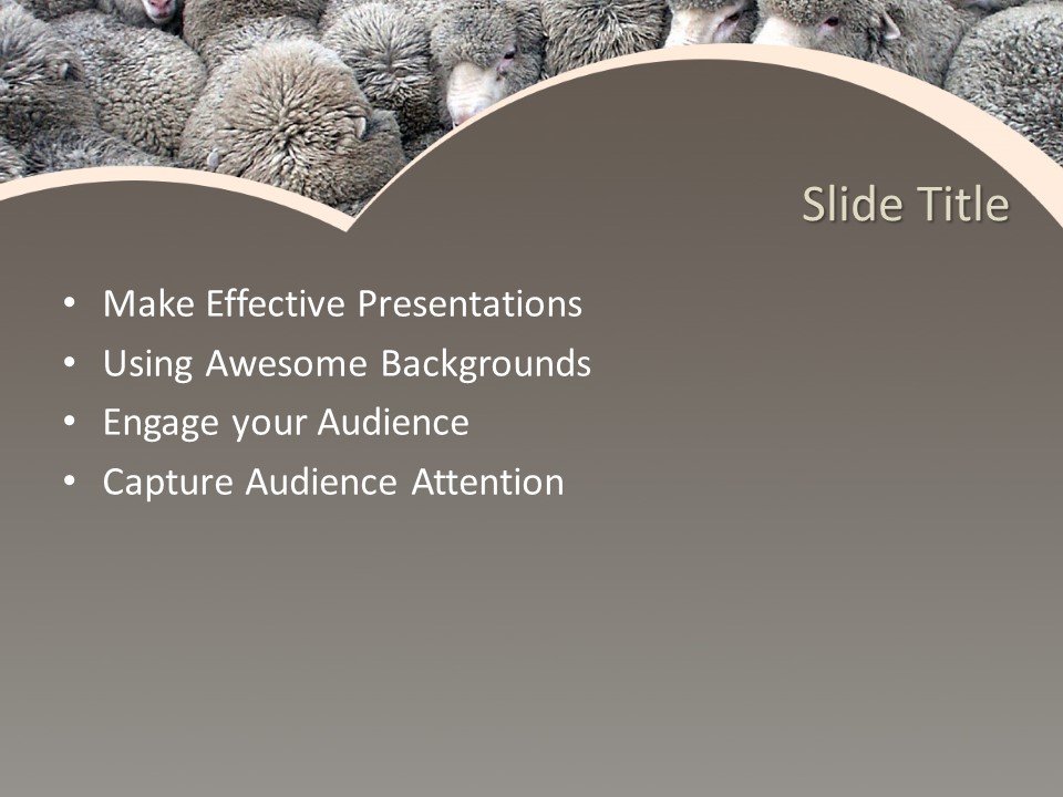 161020-sheeps-template-4x3-2 - Free PowerPoint Templates