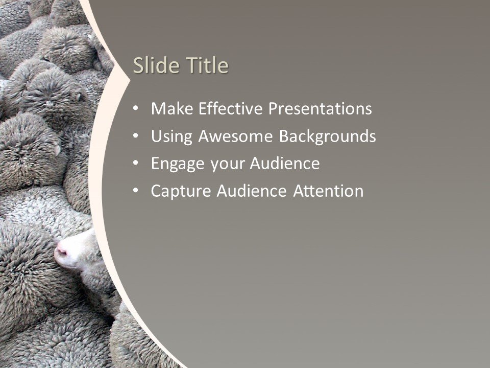 161020-sheeps-template-4x3-3 - Free PowerPoint Templates