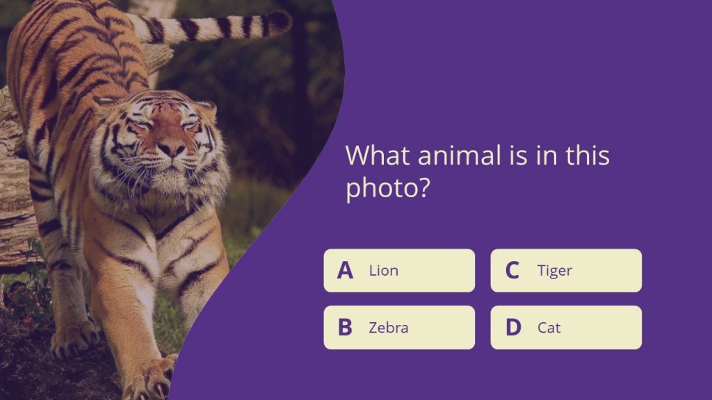 Quiz Question Slide - Free PowerPoint Templates