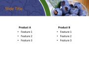 162358-blueberries-template-4x3-4 - Free PowerPoint Templates