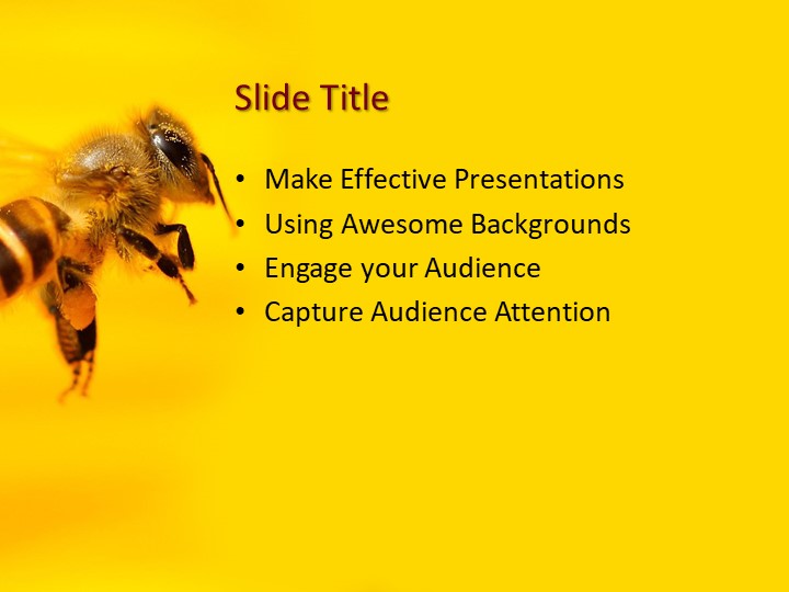 162576-bee-template-4x3-3 - Free PowerPoint Templates